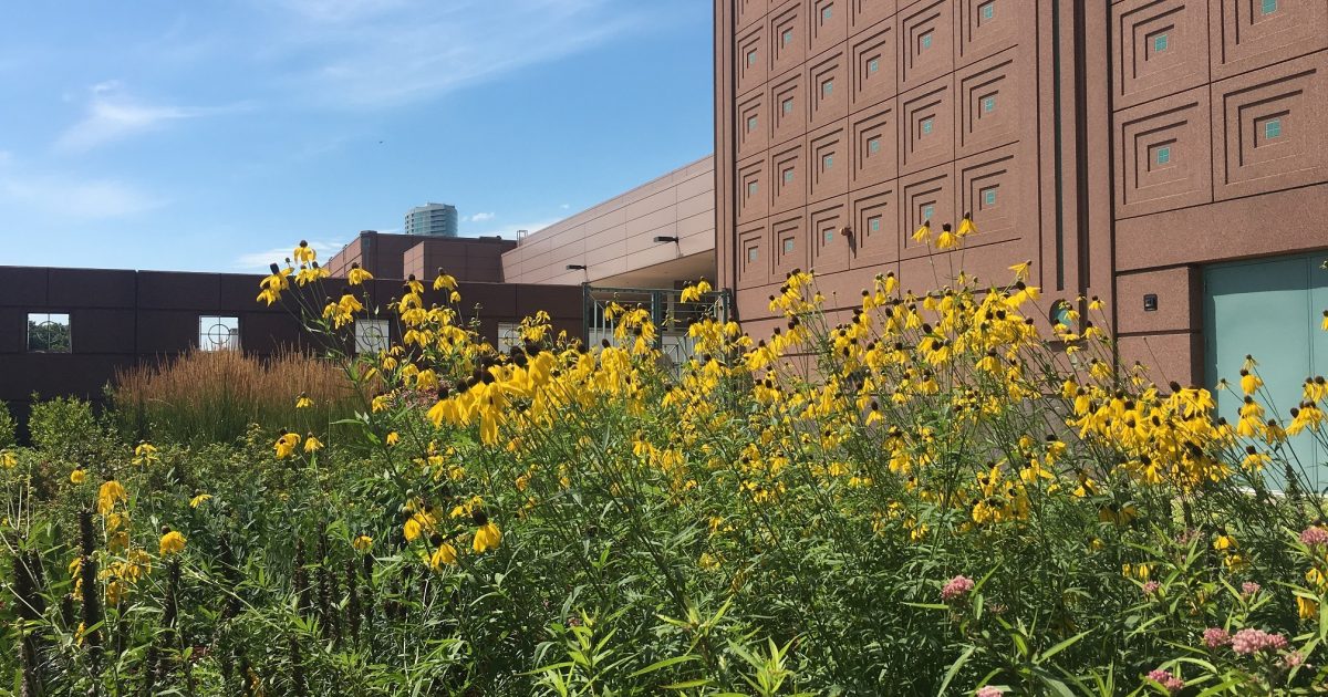 Minneapolis Convention Center Awarded Prestigious LEED Green Building ...