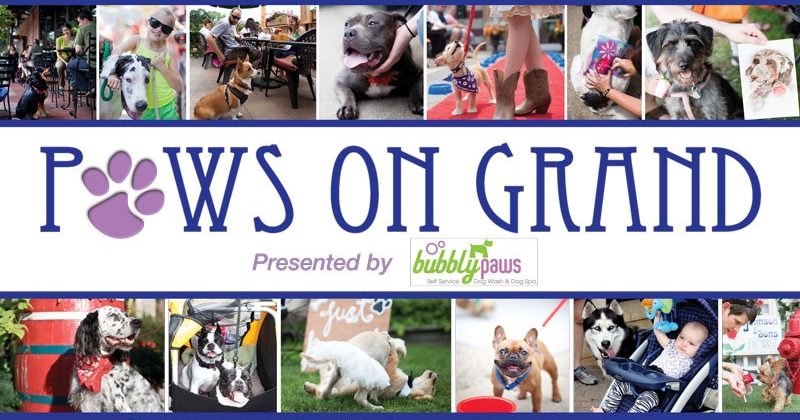 PAWS ON GRAND: Pet Pics, Furry Fashions and Rescue Resources | Meet ...