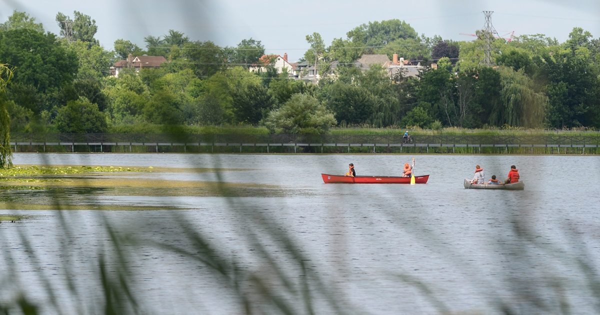 Theodore Wirth Regional Park Activities for Every Season | Meet ...