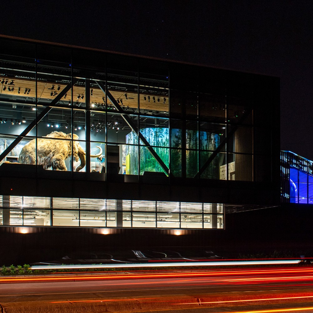 Bell Museum | Meet Minneapolis