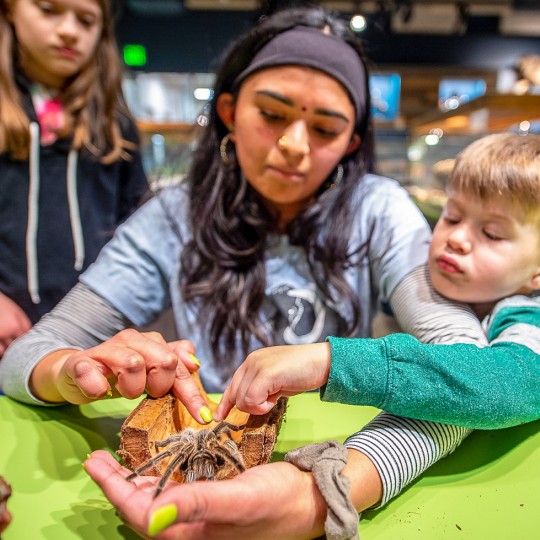 Bell Museum | Meet Minneapolis