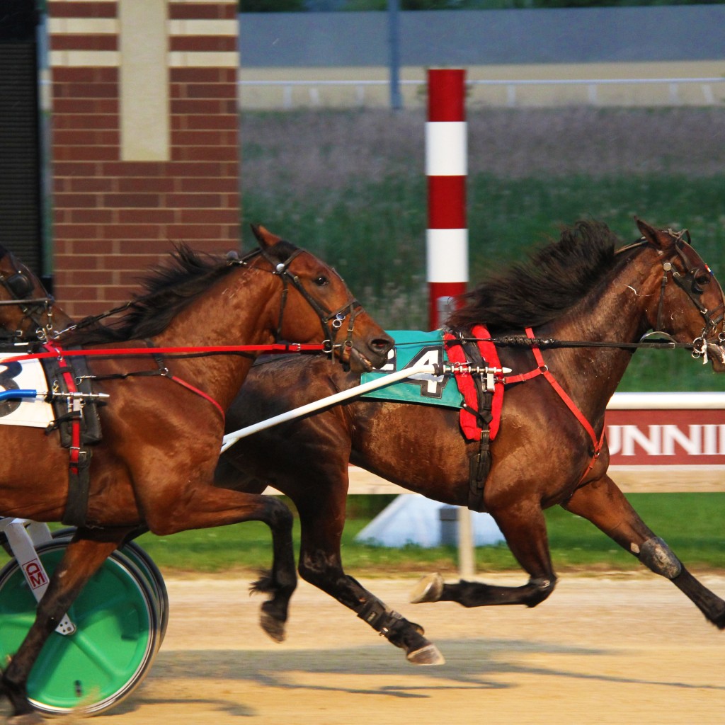 Running Aces Casino, Hotel & Racetrack | Meet Minneapolis