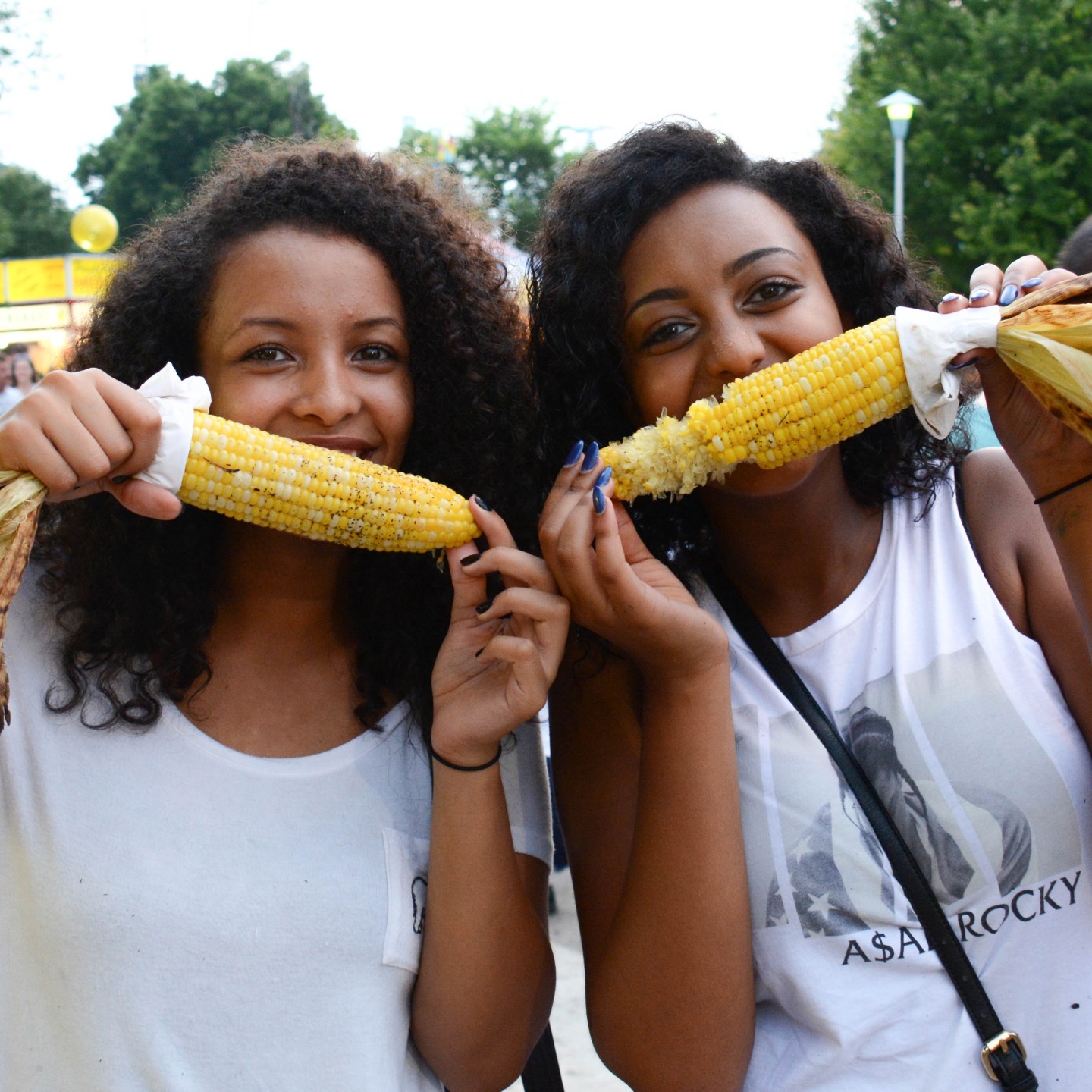 Minnesota State Fair | Meet Minneapolis
